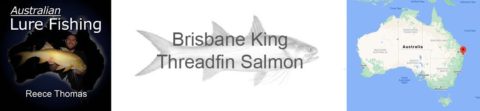 Brisbane Threadfin Salmon | Reece Thomas | Doc Lures Podcast