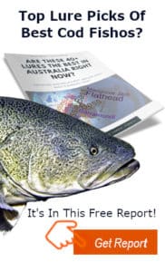 New England Murray Cod | Simon Fitzpatrick | Aust. Lure Fishing