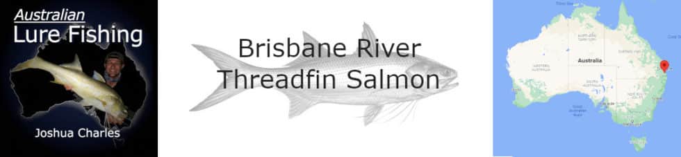 Brisbane Threadfin Salmon | Joshua Charles | Doc Lures Podcast