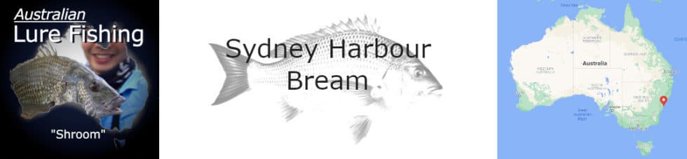 Sydney Bream Fishing With Shroom | Australian Lure Fishing