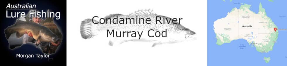 Condamine Murray Cod | Morgan Taylor| Australian Lure Fishing