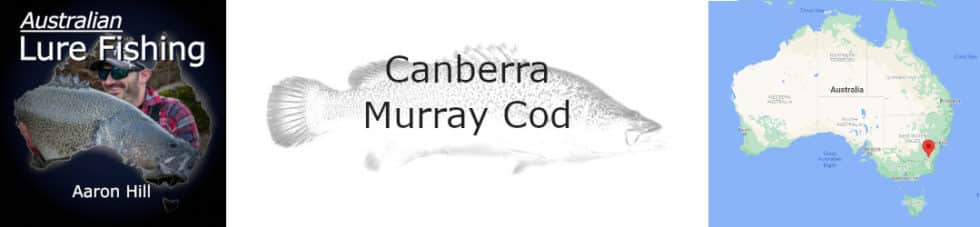 Canberra Murray Cod | Aaron Hill | Australian Lure Fishing