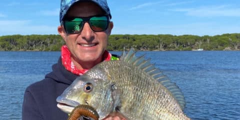 Melbourne Kingfish | Lee Rayner | Australian Lure Fishing