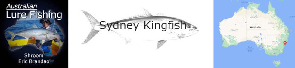 Sydney Kingfish | Shroom | Brandao | Australian Lure Fishing