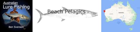 Beach Fishing For Pelagics | Ben Svenson | Australian Lure Fishing