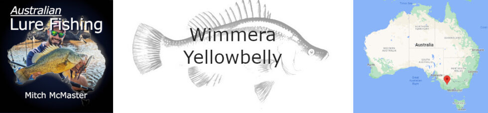 Wimmera Yellowbelly | Mitch McMaster | Australian Lure Fishing