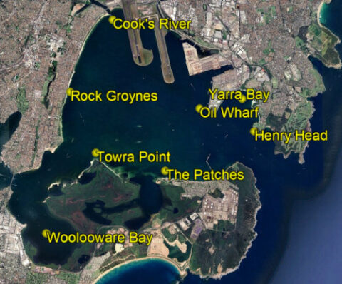 Botany Bay Fishing Spots | Australian Lure Fishing | Doc Lures