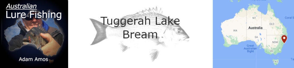 Tuggerah Lake Fishing: Bream Secrets | Australian Lure Fishing